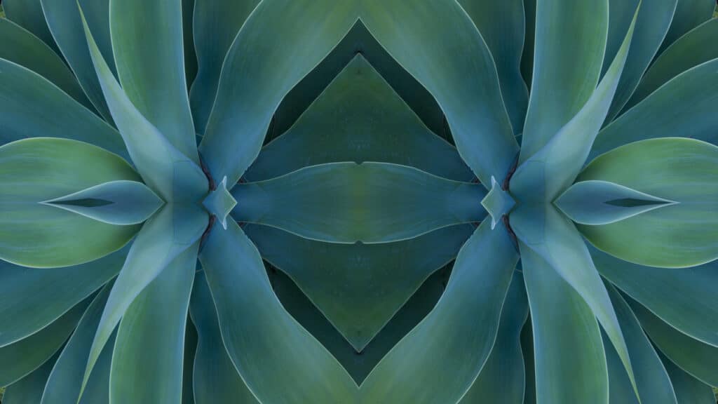 Andrea Alù to Lead Simons Foundation Collaboration on Extreme Wave ...