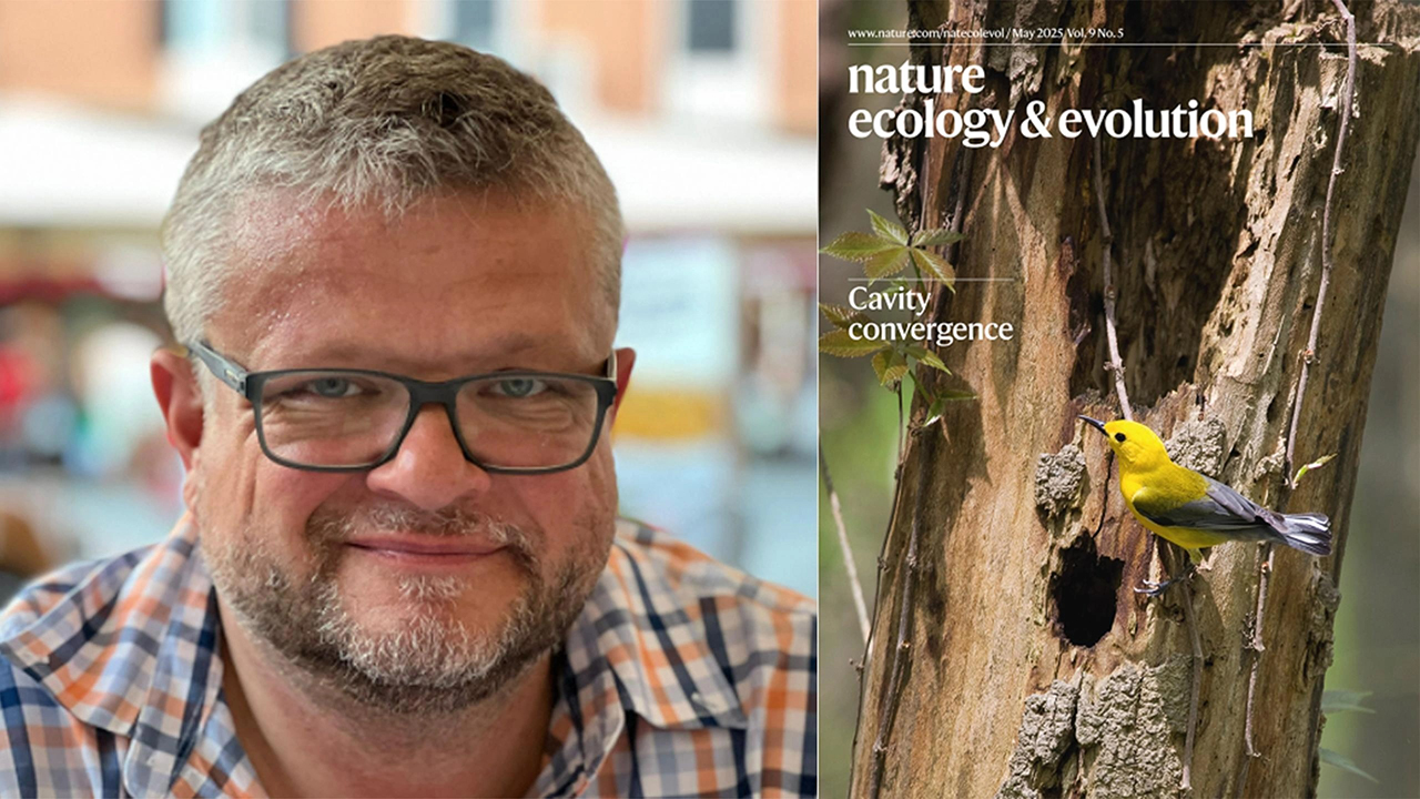 Why Some Birds Get Mean Over a Nest – The Advanced Science Research Center