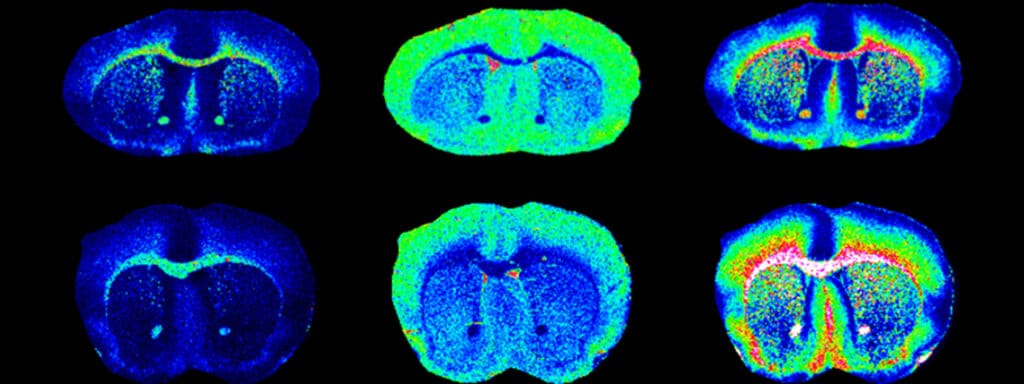 MALDI-TOF MS Imaging Facility – The Advanced Science Research Center