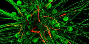 Facilities – The Advanced Science Research Center